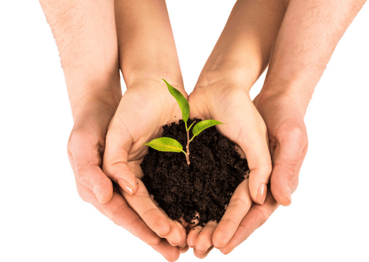 Buy Organic Natural Eco Products Online | Loved By Nature – Natural ...