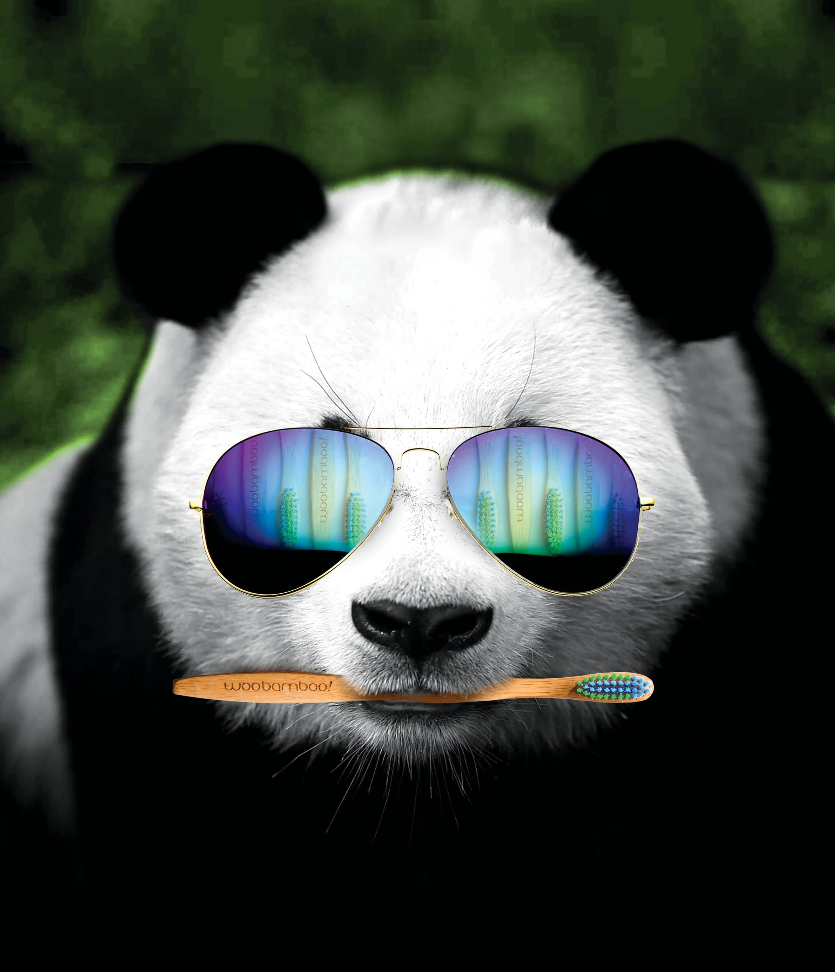WooBamboo – Natural Holdings