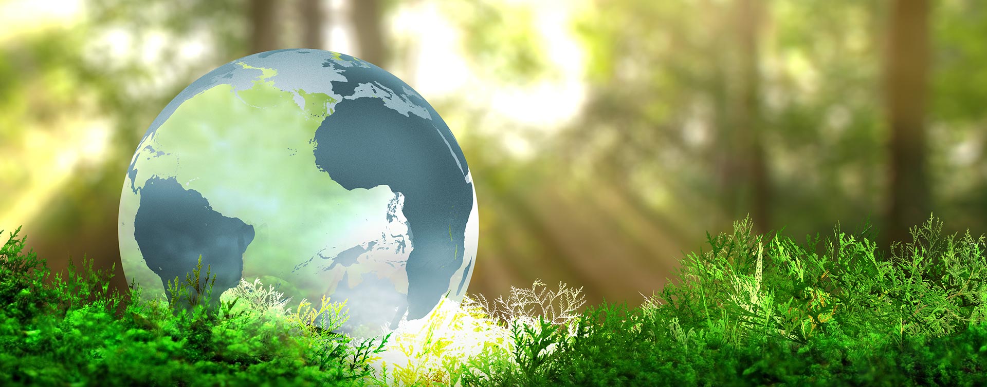 Buy Organic Natural Eco Products Online | Loved By Nature – Natural ...